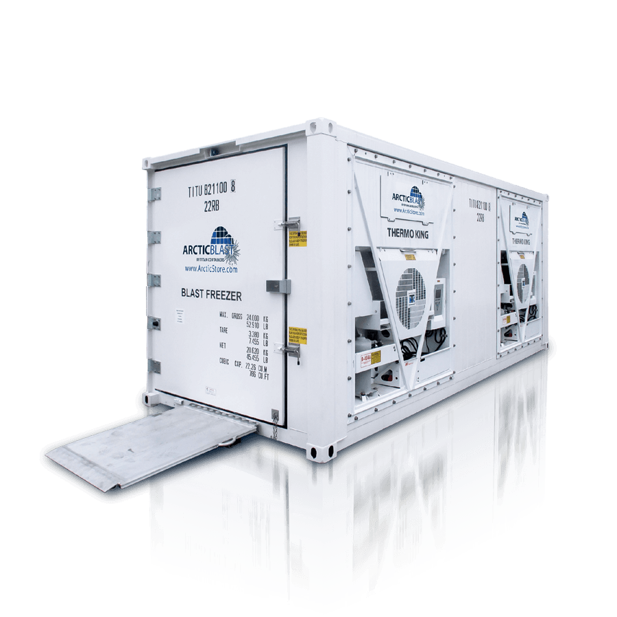 Refrigerated Reefer Containers Cold Store Storage Solutions Rent Sale