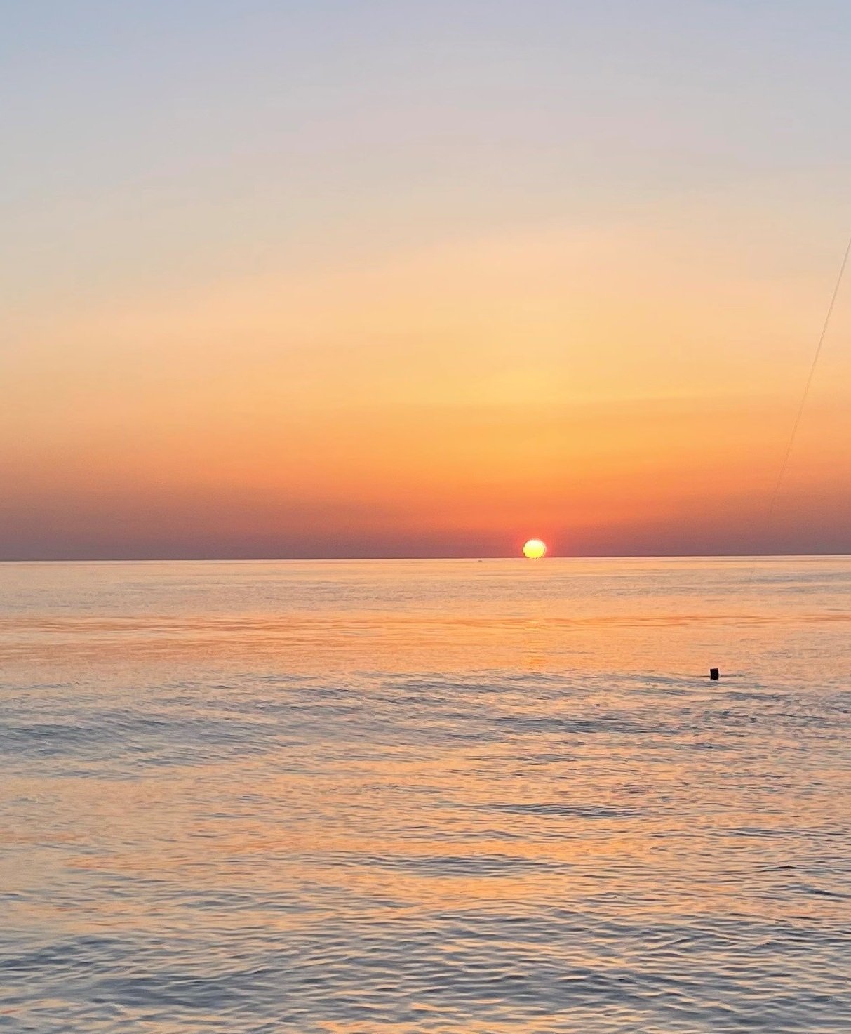 Solar power for refrigerated reefer storage containers arcticstore